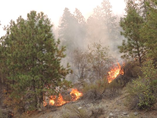Wildfire near Twisp kills 3 firefighters | 12newsnow.com