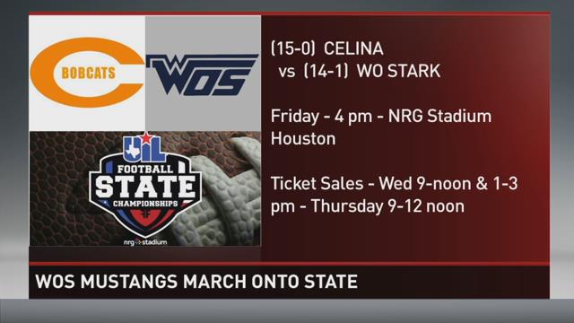 WOS Mustangs prove doubters wrong | 12newsnow.com