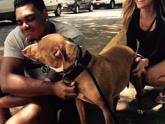 NFL player goes to animal shelter, asks for dog 'that's been here a ...